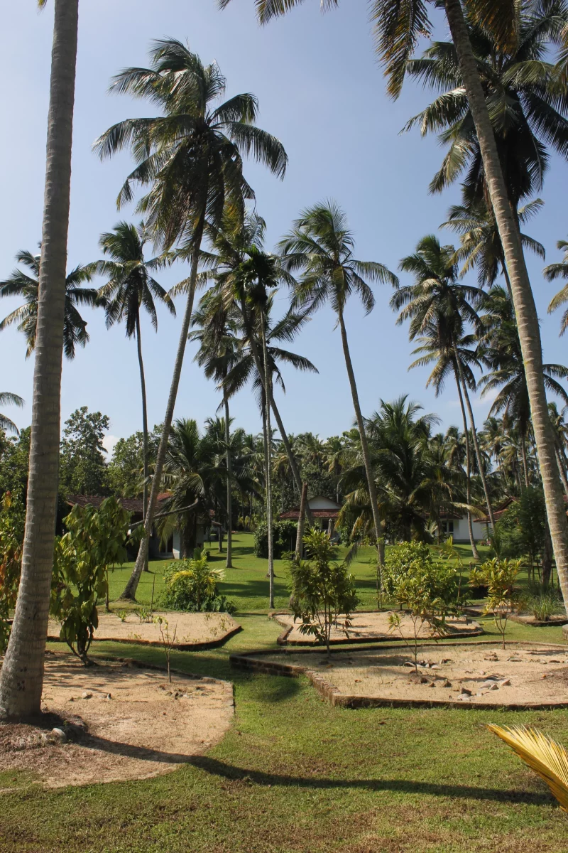 Our Philosophy - Ambarella Lodge